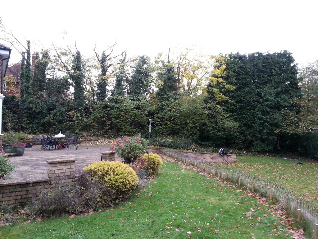 Tree Topping - ATC Tree Surgeons